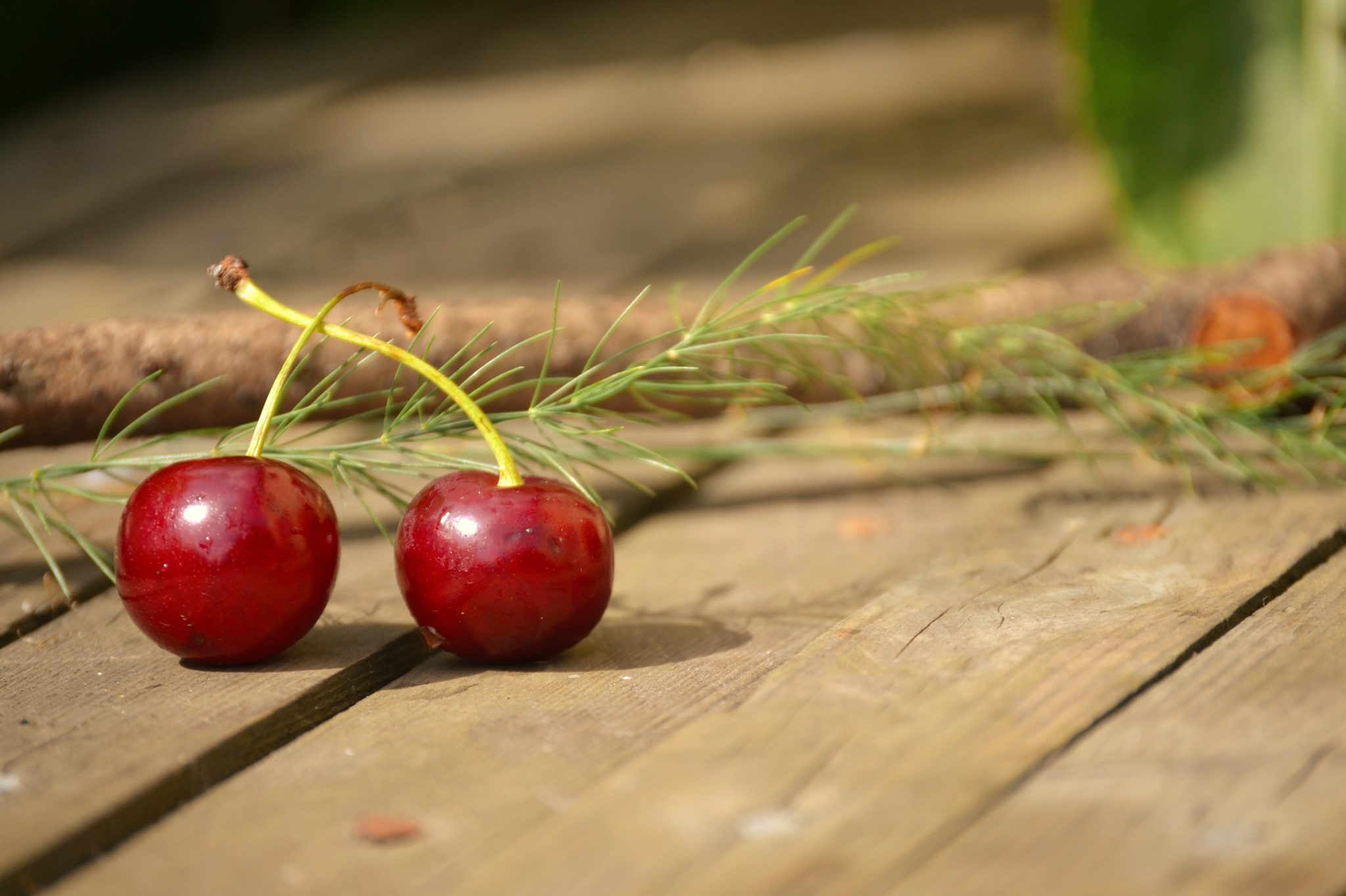 Pasaules Sirds dienā kardiologi aicina noteikt sirds vecumu un atgādina ...